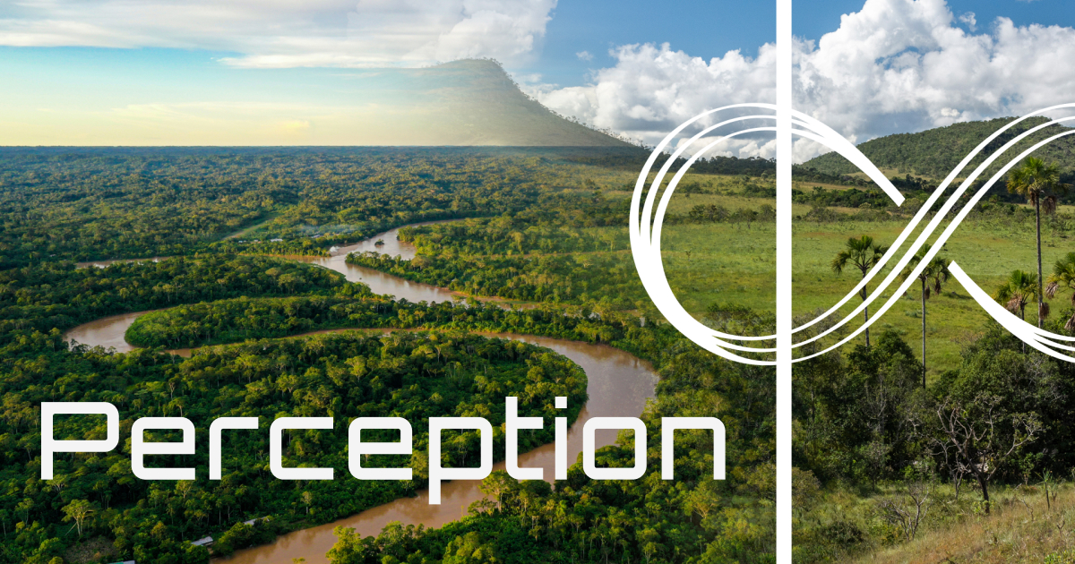 Perception